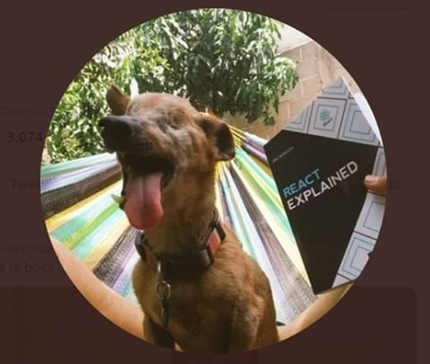 leyendo: react explained (zac gordon)